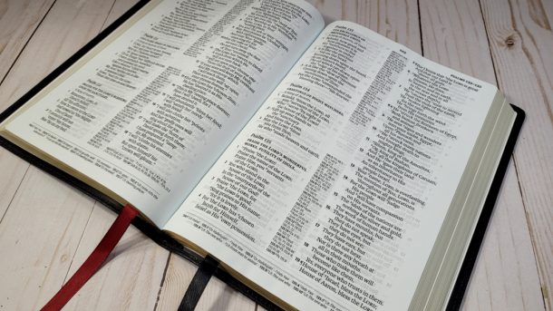 Lockman NASB 2020 Large Print Ultrathin Reference Bible in Calfskin ...