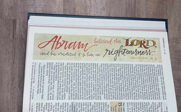 NIV Radiant Virtues Bible Gift Set - Bible Buying Guide