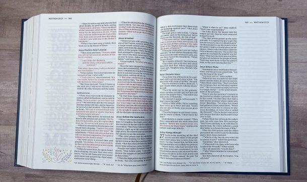 NIV Radiant Virtues Bible Gift Set - Bible Buying Guide