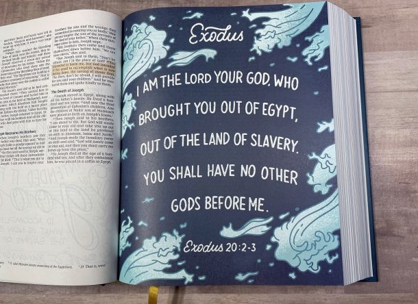 NIV Radiant Virtues Bible Gift Set - Bible Buying Guide