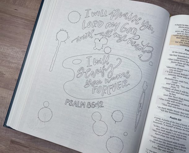 NIV Radiant Virtues Bible Gift Set - Bible Buying Guide