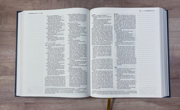 NIV Radiant Virtues Bible Gift Set - Bible Buying Guide