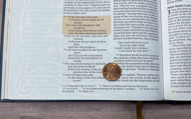 Radiant Virtues Bible Gift Set (8) - Bible Buying Guide