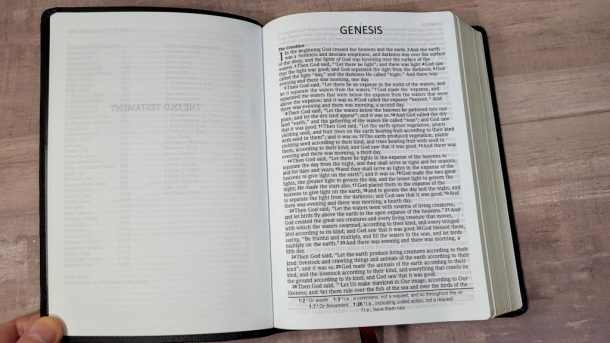 NASB Large Print Compact Bible Review - Bible Buying Guide