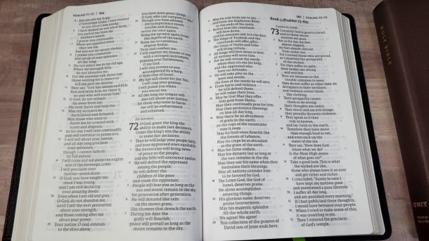 NET Bible Large Print Thinline in Genuine Leather - Bible Buying Guide