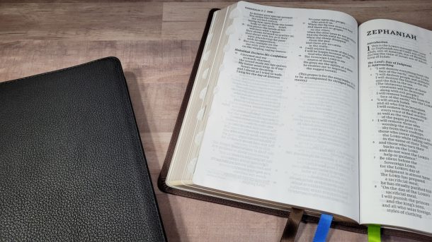 NET Bible Large Print Thinline in Genuine Leather - Bible Buying Guide