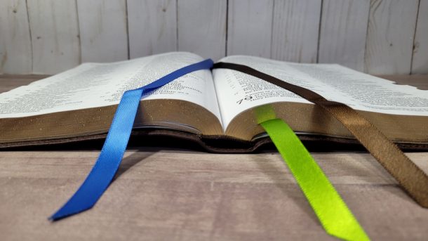 NET Bible Large Print Thinline in Genuine Leather - Bible Buying Guide