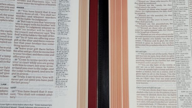 Cambridge ESV Diadem in Black Calfskin - Bible Buying Guide