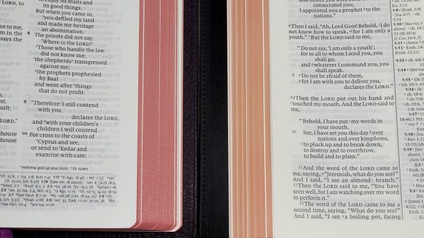 Cambridge ESV Diadem in Black Calfskin - Bible Buying Guide