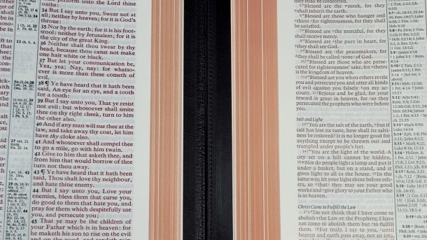 Cambridge ESV Diadem in Black Calfskin - Bible Buying Guide