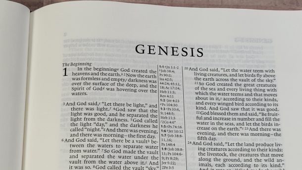 NIV Insight Bible Review - Bible Buying Guide