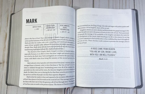 The Jesus Bible Artist Edition NIV Review - Bible Buying Guide