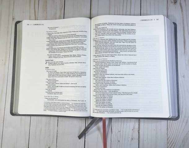 The Jesus Bible Artist Edition NIV Review - Bible Buying Guide