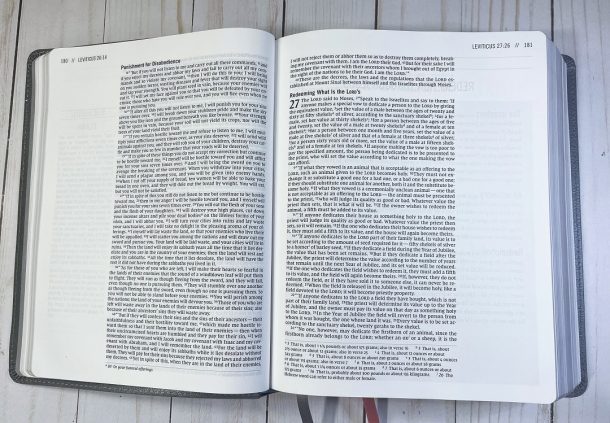 The Jesus Bible Artist Edition NIV Review - Bible Buying Guide