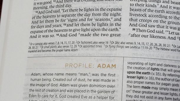 Crossway’s ESV Men’s Study Bible - Review - Bible Buying Guide