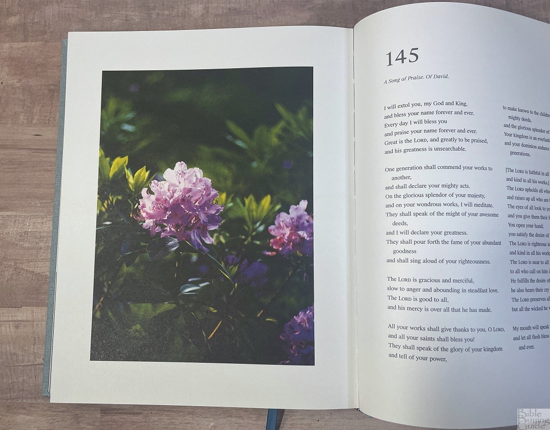 ESV Psalms Photography Edition (12) - Bible Buying Guide