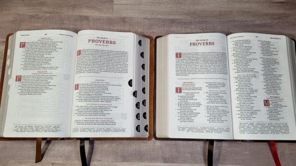 Thomas Nelson NKJV Sovereign Collection Bible (31) - Bible Buying Guide