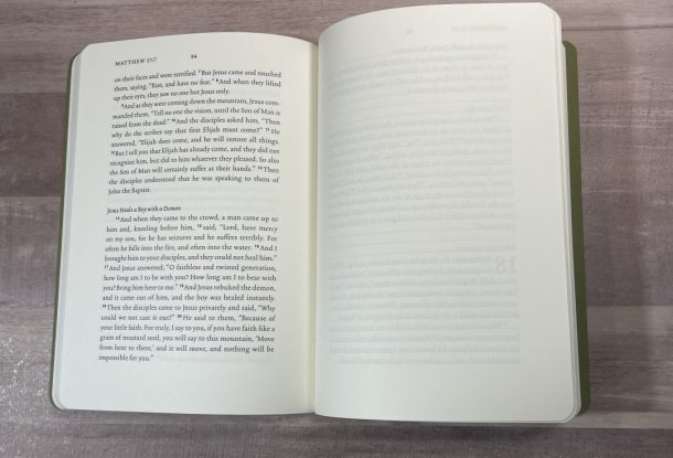 ESV Scripture Journal Set with Art by Ruth Chou Simons - Bible Buying Guide