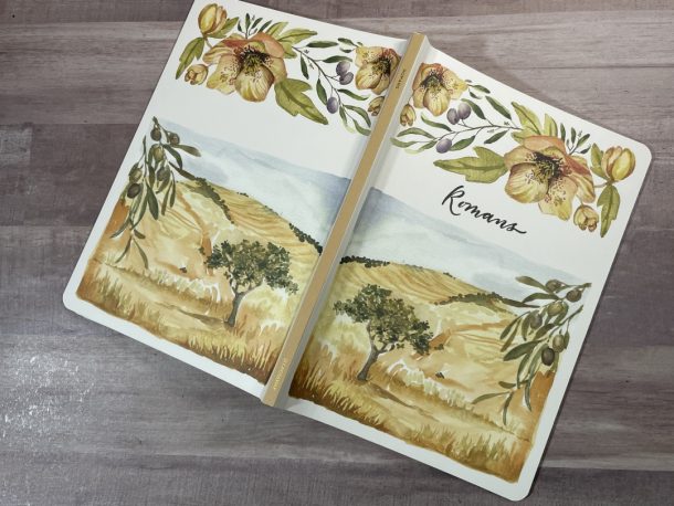 ESV Scripture Journal Set with Art by Ruth Chou Simons - Bible Buying Guide