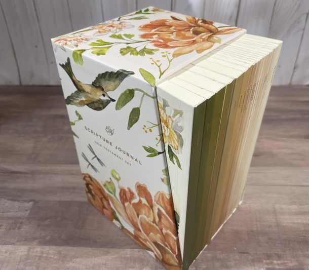 ESV Scripture Journal Set with Art by Ruth Chou Simons - Bible Buying Guide