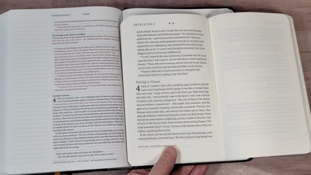 NLT Wide Margin Bible Filament Edition Review - Bible Buying Guide