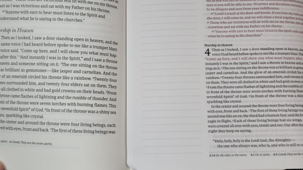 NLT Wide Margin Bible Filament Edition Review - Bible Buying Guide