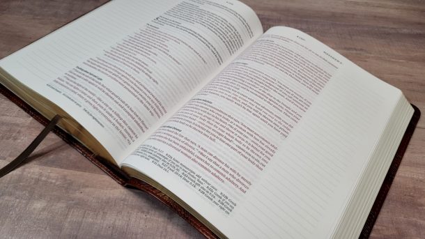 NLT Wide Margin Bible Filament Edition Review - Bible Buying Guide