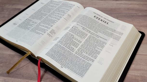 The Bible House Leather KJV Bible - C.I. Scofield Study Notes - Bible ...