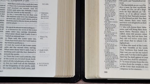 The Bible House Leather KJV Bible - C.I. Scofield Study Notes - Bible ...