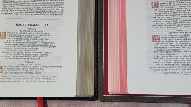 Thomas Nelson KJV Wide Margin Sovereign Collection Bible Review - Bible ...