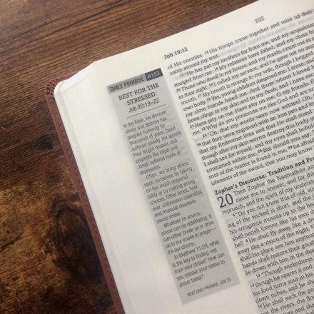 Simplified KJV: Bible Promise Book Edition - Bible Buying Guide