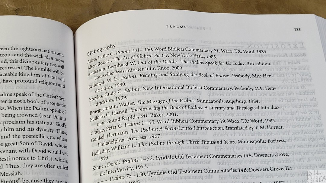Bible Commentary for Today (15) - Bible Buying Guide