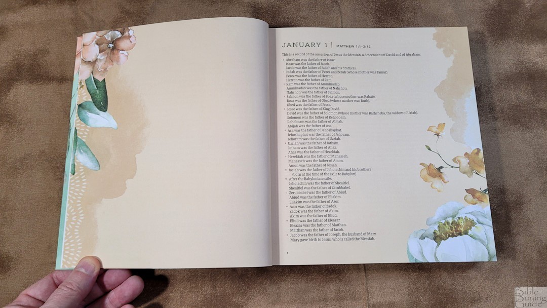 NLT One Year Bible NT Illustrated Edition (23) - Bible Buying Guide